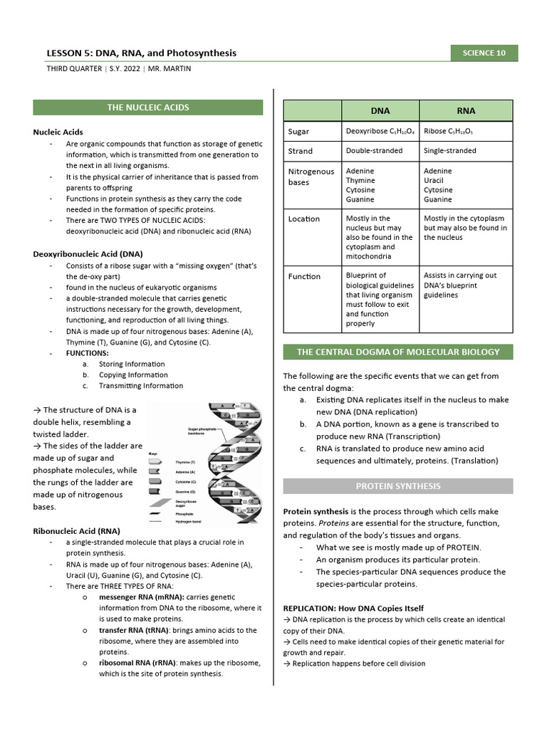(SCI) LESSON 5 - DNA, RNA, and Photosynthesis | PDF | Rna | Dna