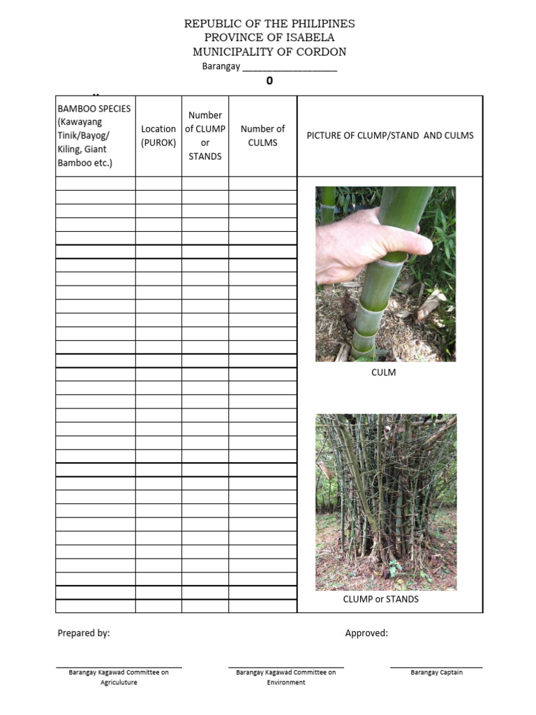 Bamboo Inventory Monitoring Report | PDF