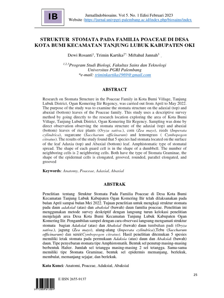 Stomata Structure in Poaceae Family | PDF | Eukaryotes | Plants