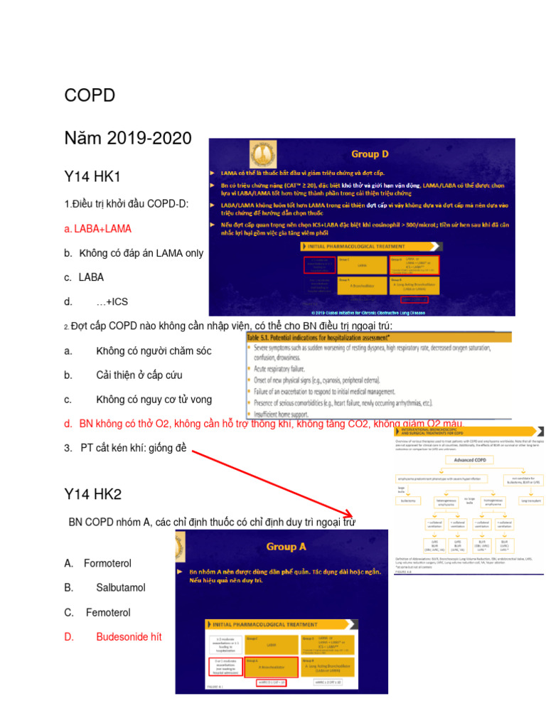 Hô hấp COPD | PDF
