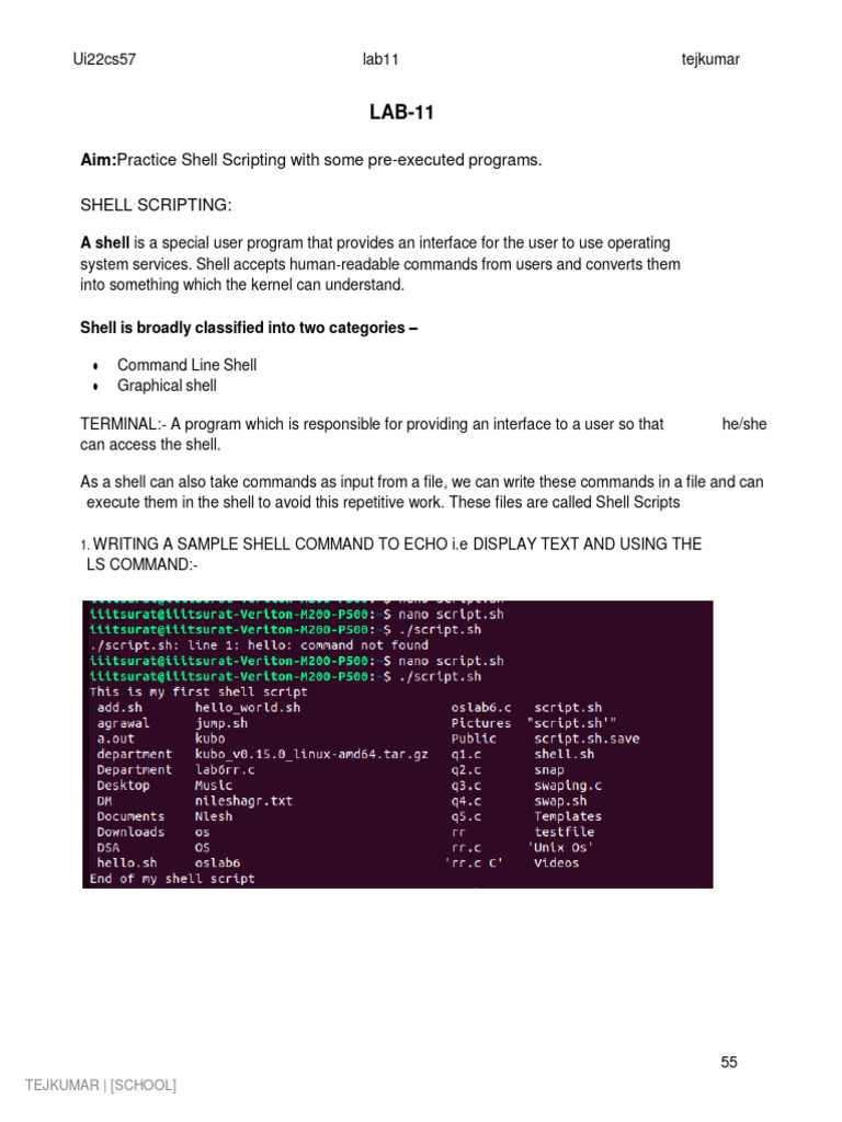 Shell Scripting Basics and Examples | PDF