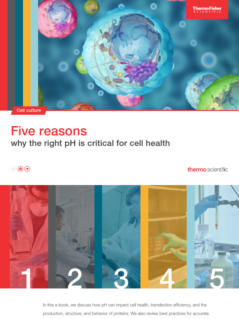 5 Reasons Why PH Is Critical For Cell Health | PDF | Ph | Proteins