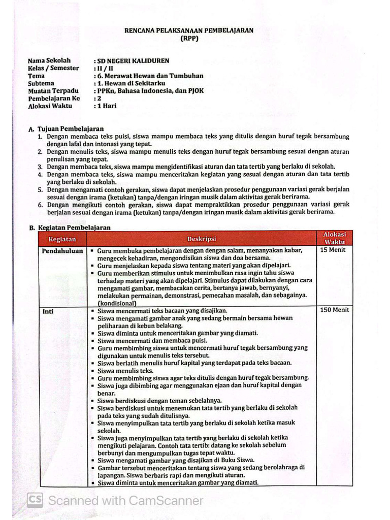 RPP Bu Ari Kelas 2 | PDF