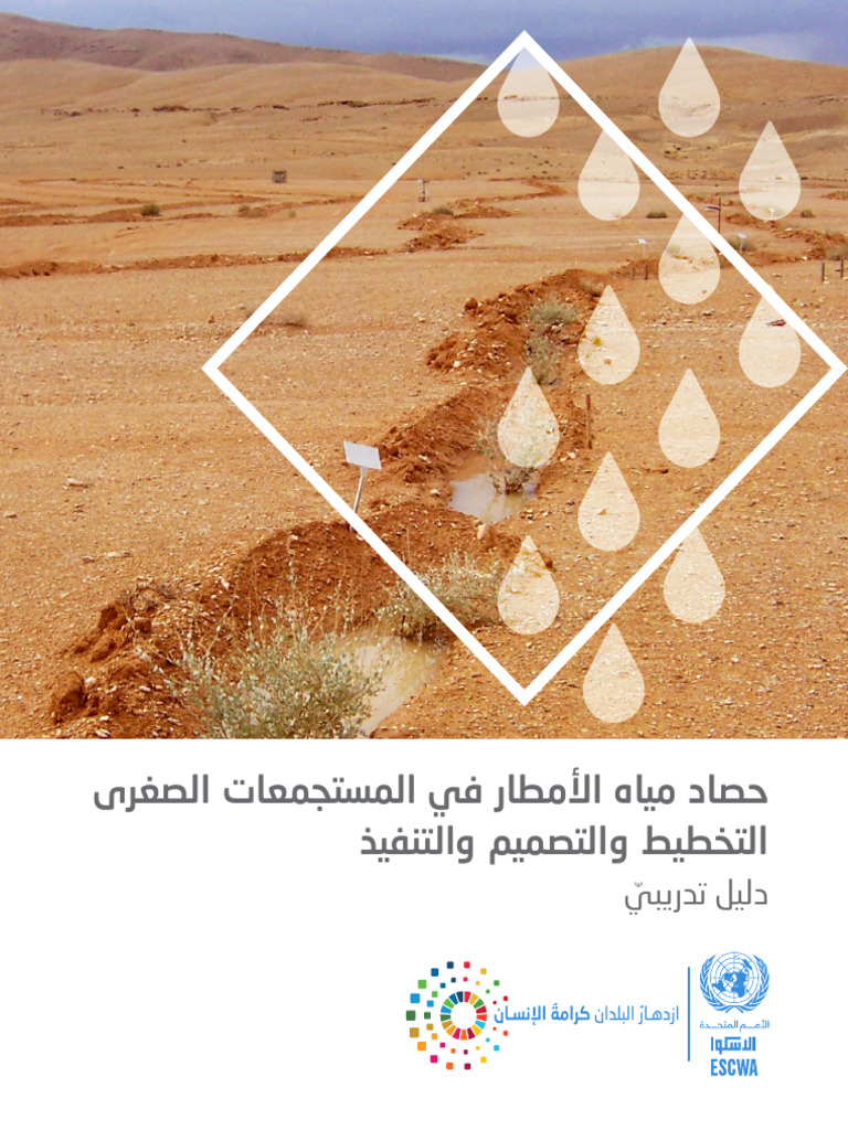 Micro Catchment | PDF