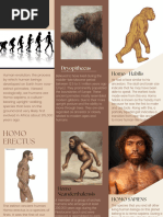 Cranial Capacity Tables | PDF | Homo | Paleoanthropology