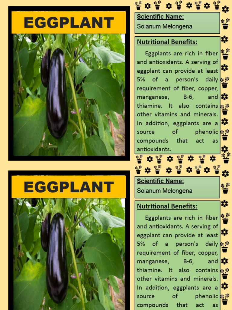 TLE - TEMPLATE - GARDEN SIGNAGE | PDF | Eggplant | Vitamin