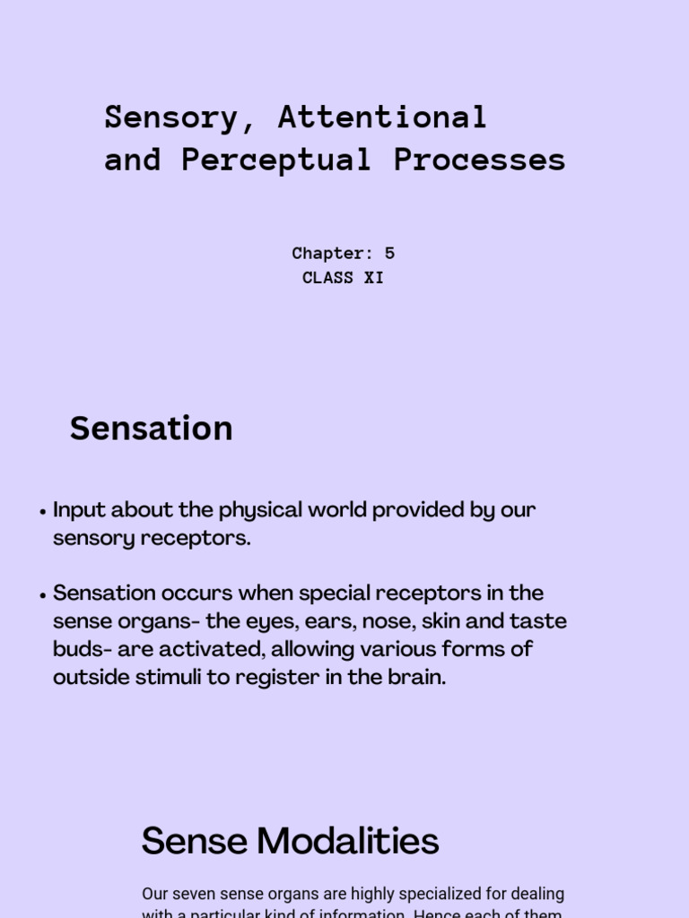 Sensory, Attentional and Perceptual Processes | PDF | Senses | Attention