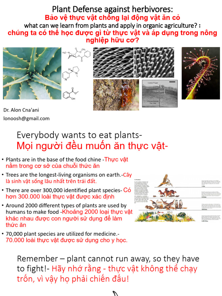 Against All Odds | PDF