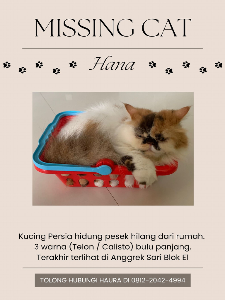 Poster Hana Hilang | PDF