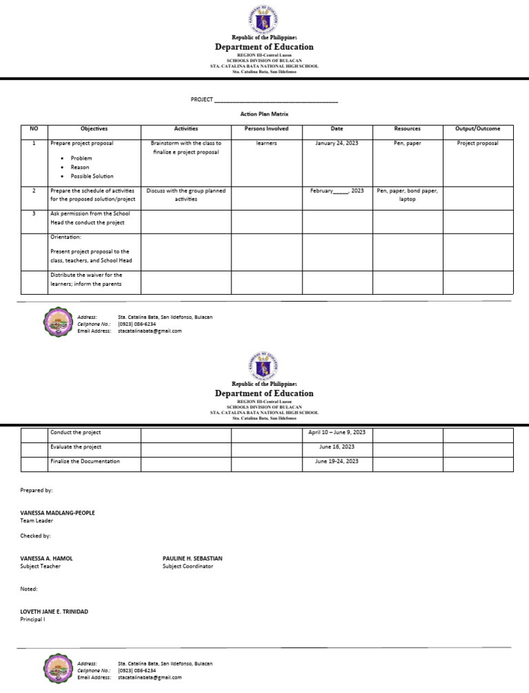 Project Matrix Action Plan | PDF