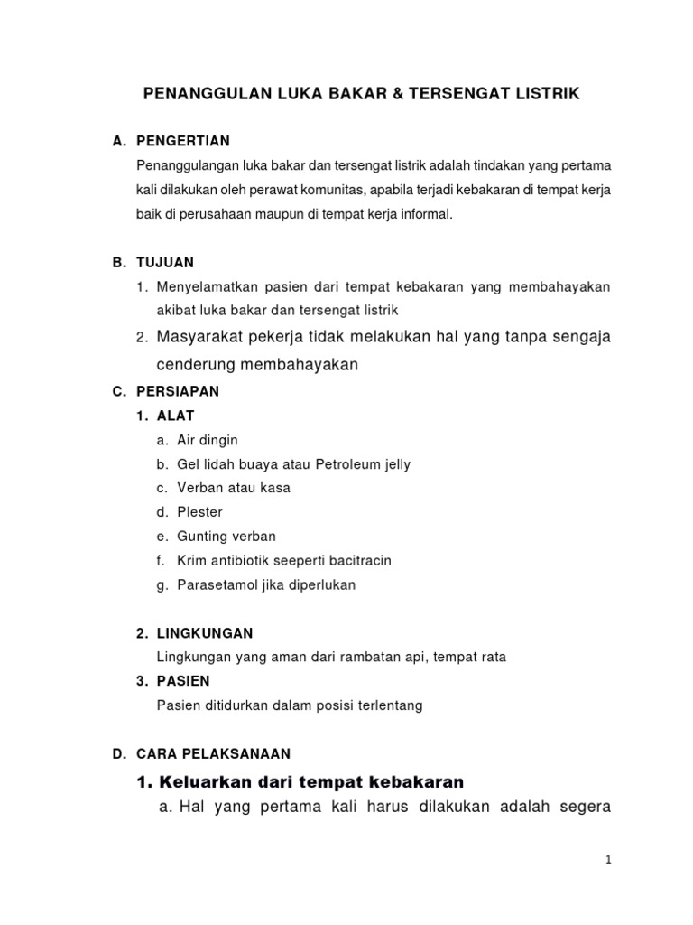 Sop Luka Bakar & Ter Listrik | PDF