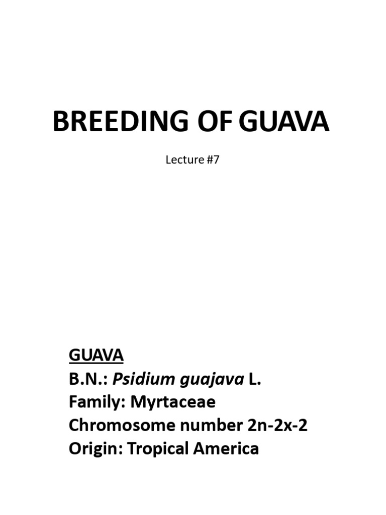 Guava Breeding Insights | PDF | Banana | Biology