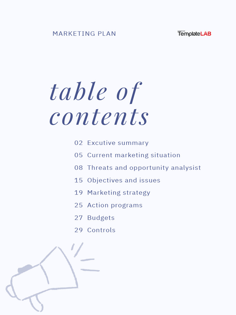 Comprehensive Marketing Plan Guide | PDF