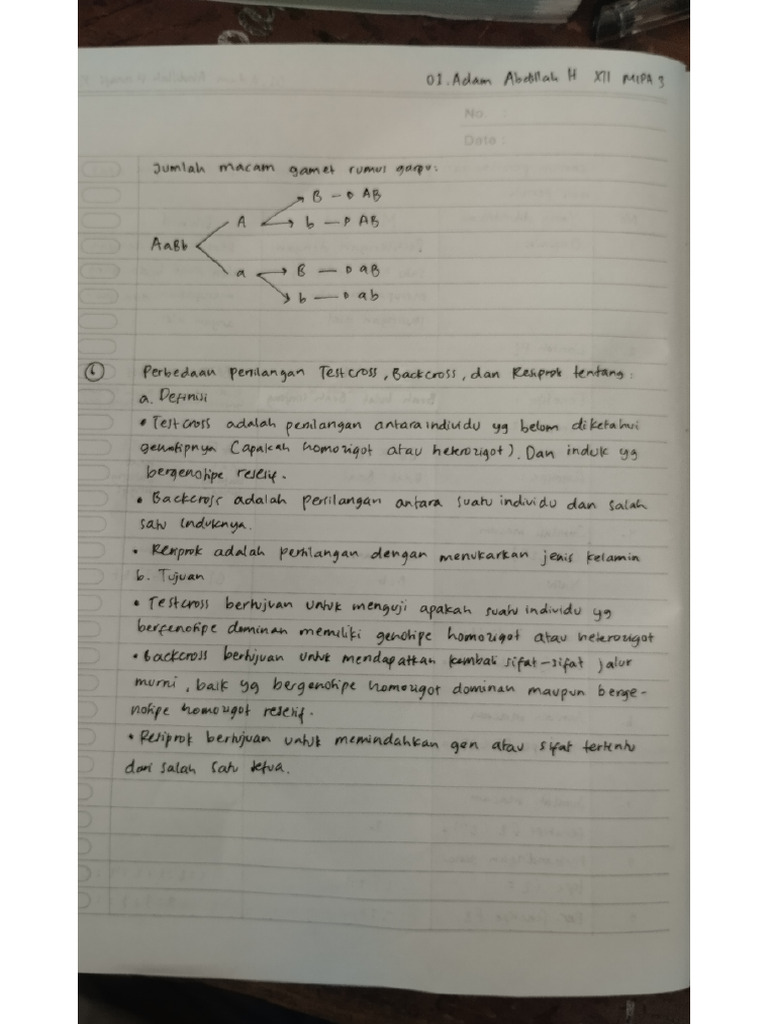 Pewarisan Sifat Adam Abdillah Hanafi | PDF