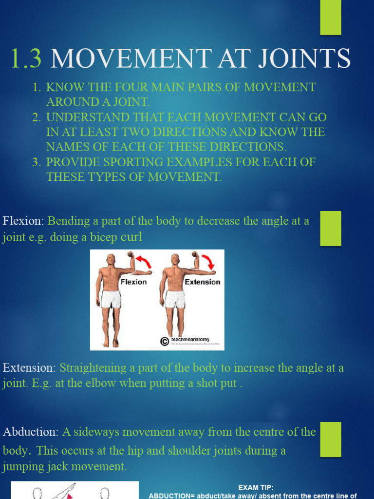1.3 Movement at Joints | PDF | Anatomical Terms Of Motion | Musculoskeletal System