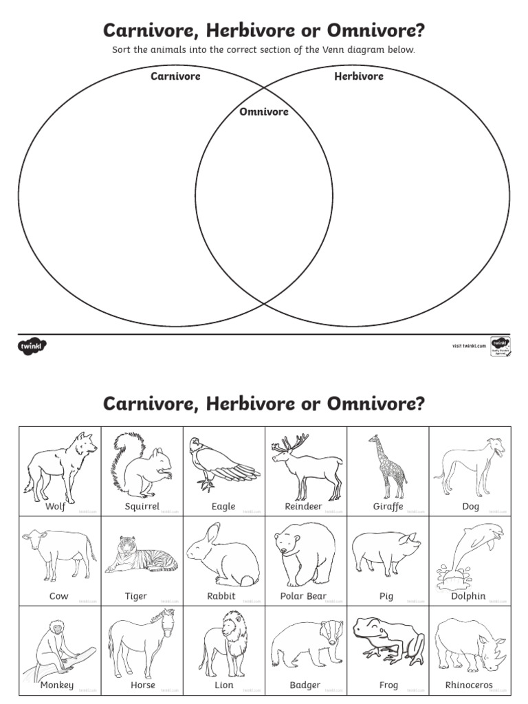 Omnivore Carnivore or Herbivore Venn Diagram Sorting Activity Sheet ...