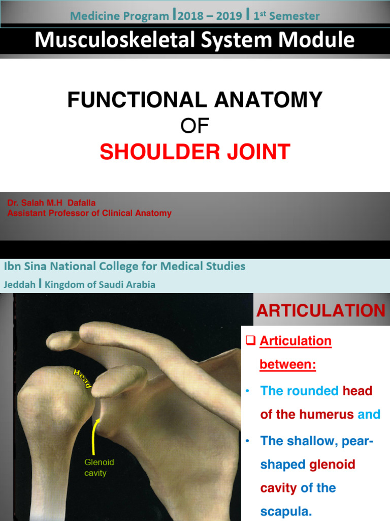 22-Shoulder Joint | PDF | Shoulder | Anatomical Terms Of Motion