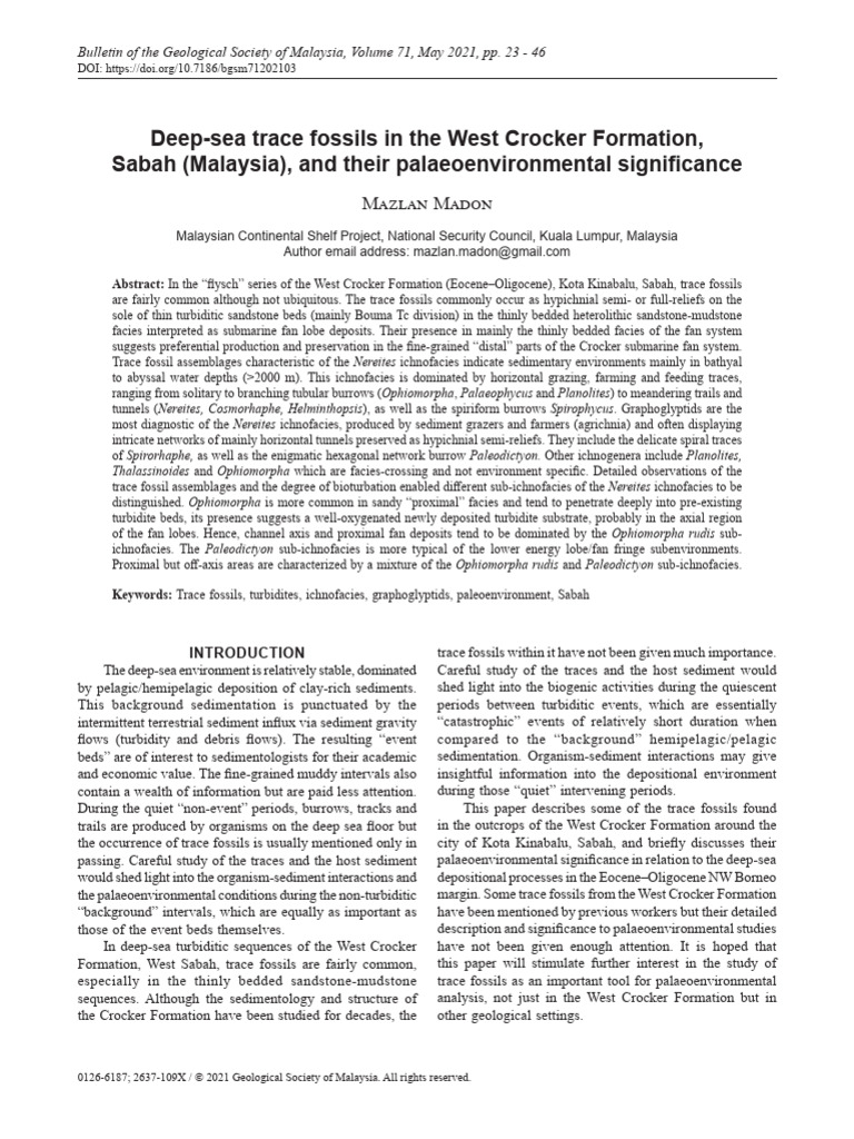 Madon2021Deep seatracefossilsintheWestCrockerFormation | PDF ...
