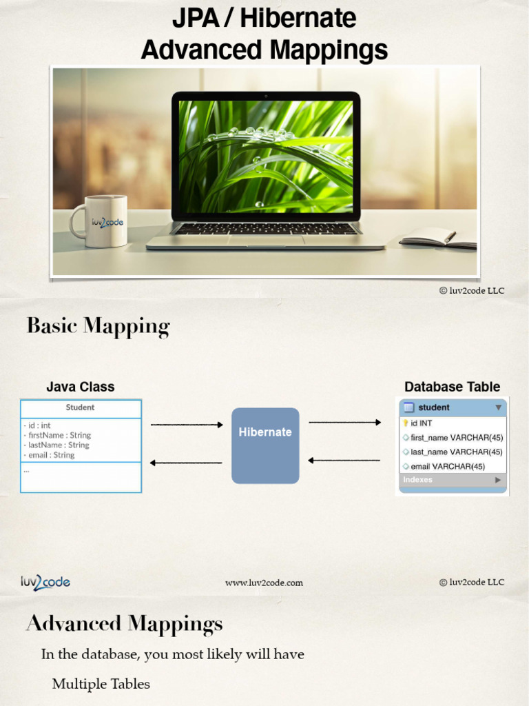 09 Spring Boot 3 Jpa Advanced Mappings | Download Free PDF | Data Management | Databases