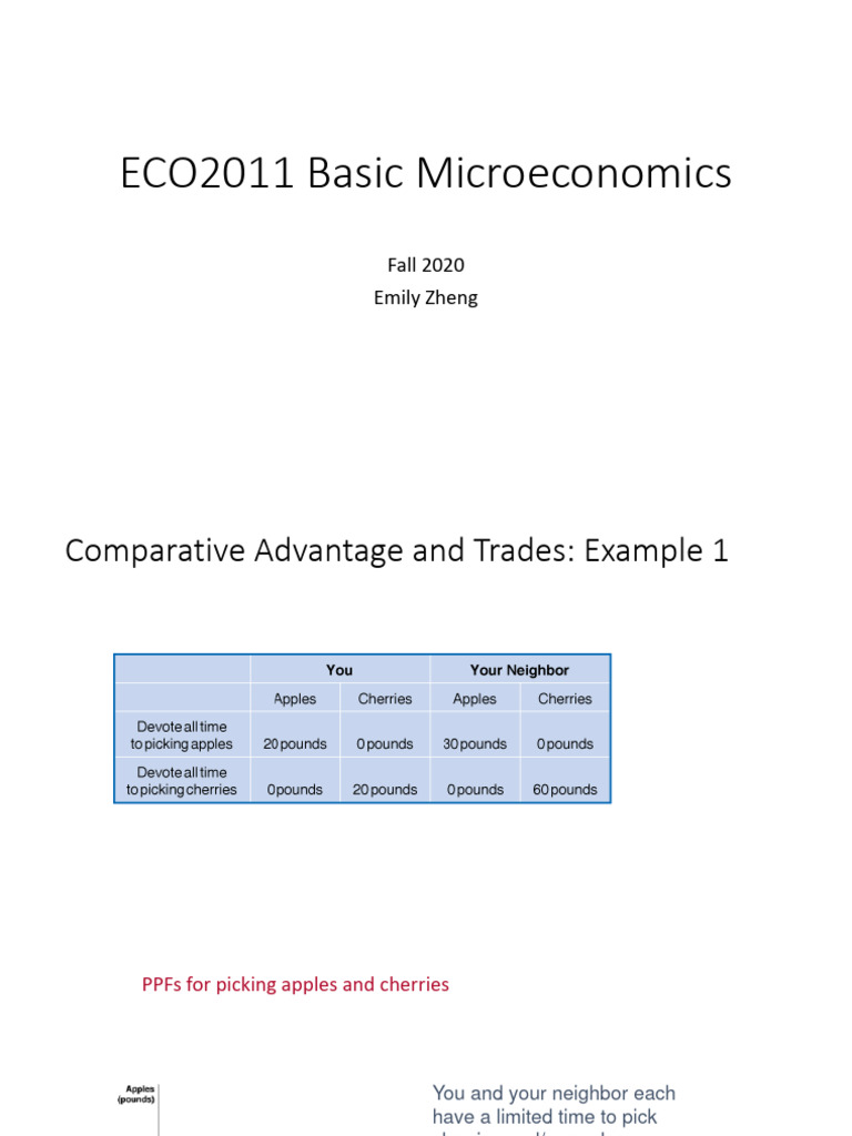 ECO2011 Basic Microeconomics - Lecture 4 | PDF | Comparative Advantage ...