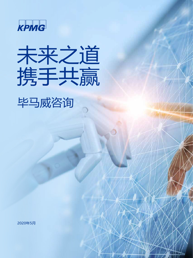 KPMG Advisory Brochure | PDF