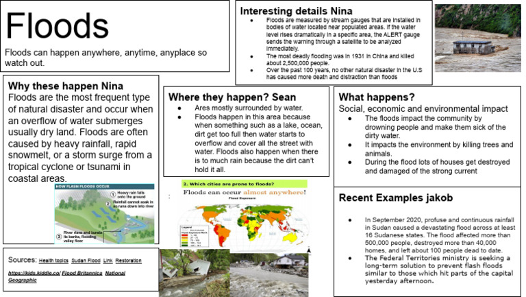 Summative Disaster Poster | PDF | Flood | Natural Disasters