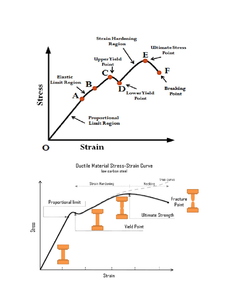 Strain | PDF | Deformation (Engineering) | Young's Modulus