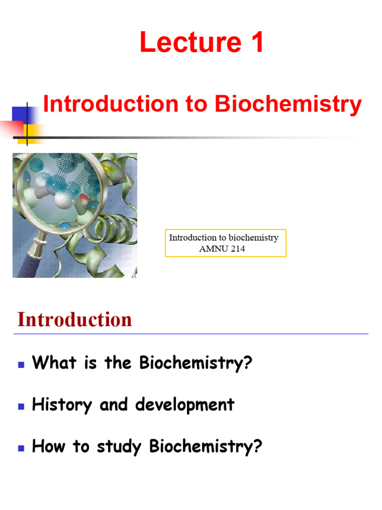 Introduction to Biochemistry Basics | PDF | Endoplasmic Reticulum ...