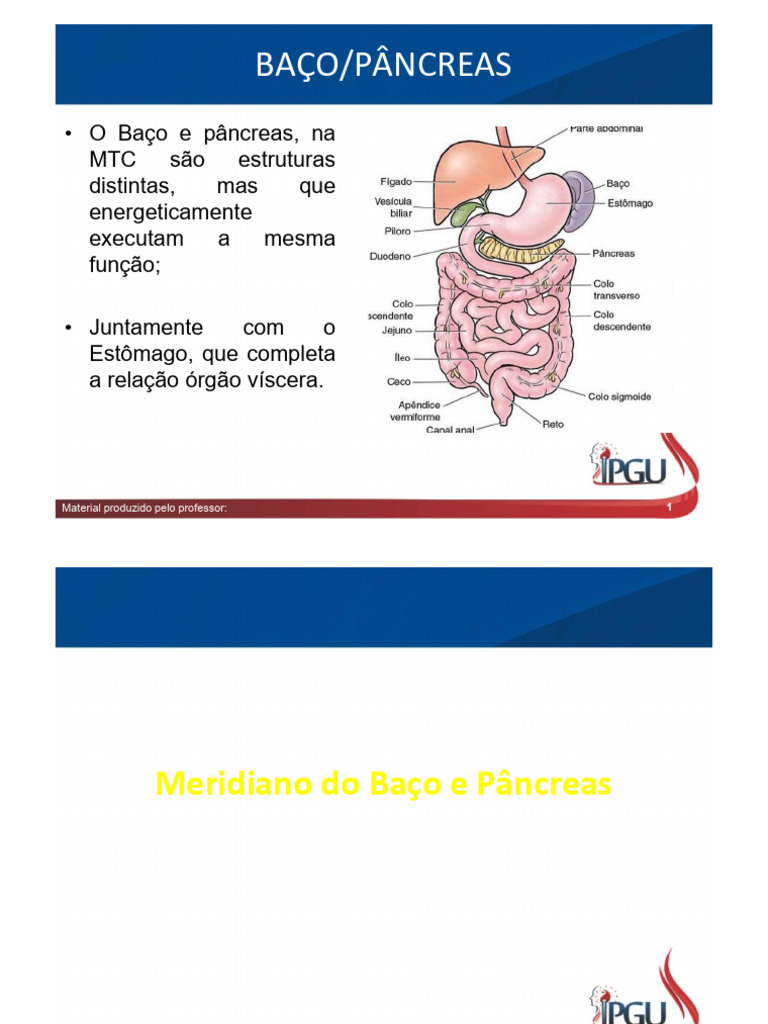 Aula Baco | PDF | Baço | Anatomia