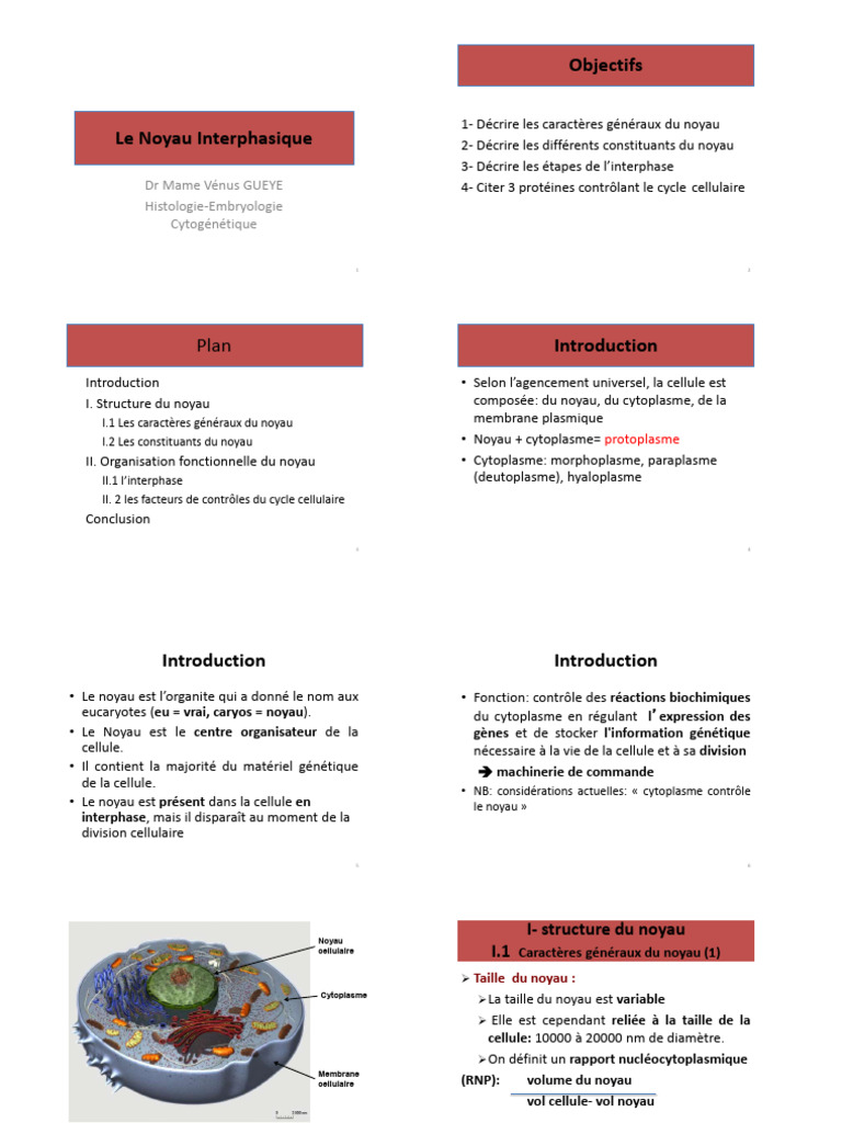Fonction et Structure du Noyau Cellulaire | PDF | Noyau (biologie ...