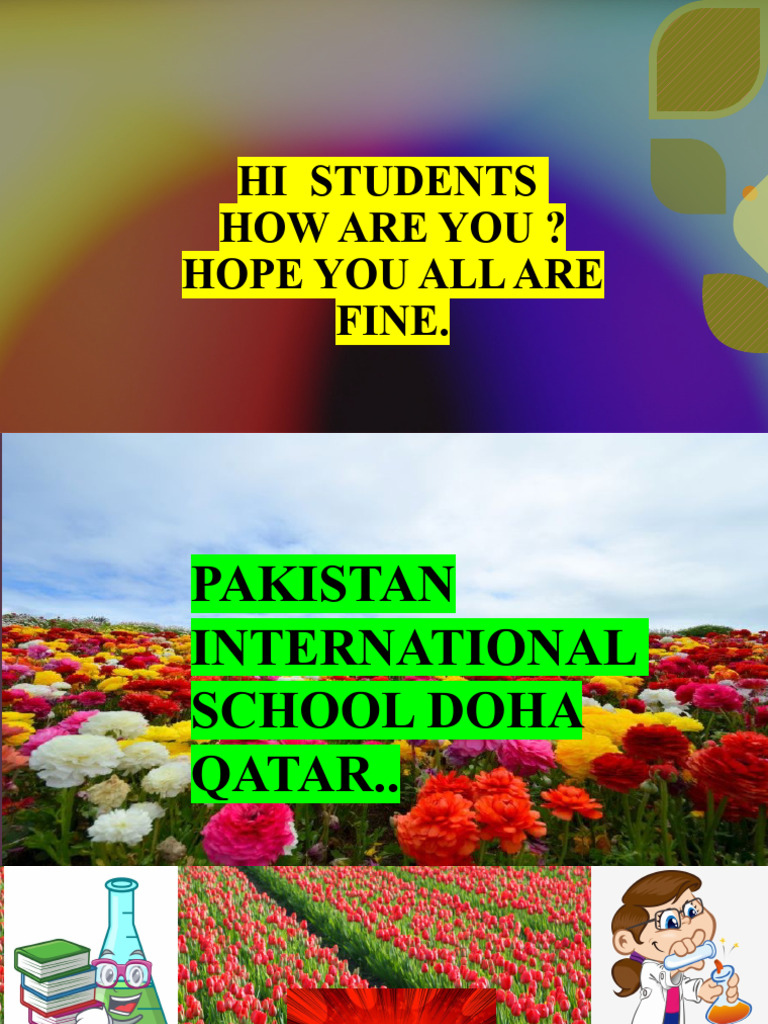 Three Types of Brain Explained | PDF | Wellness