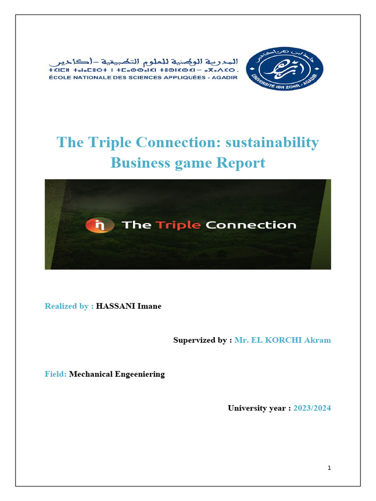 The Triple Connection Rapport | PDF | Sustainability | Supply Chain