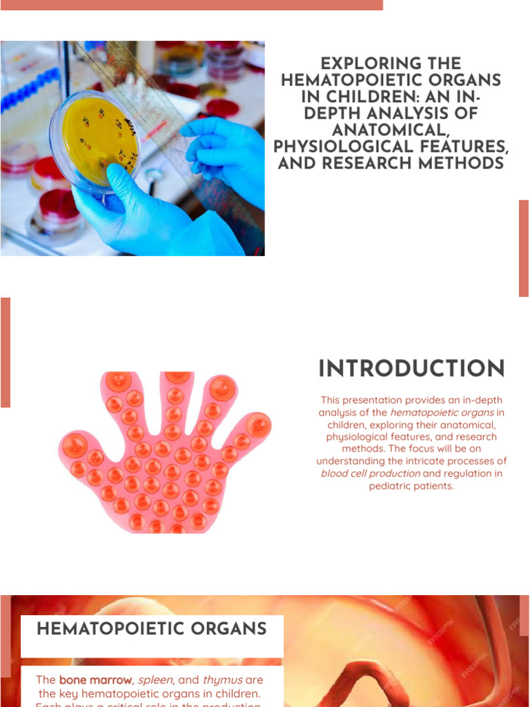 Pediatrics | PDF | Haematopoiesis | Bone Marrow