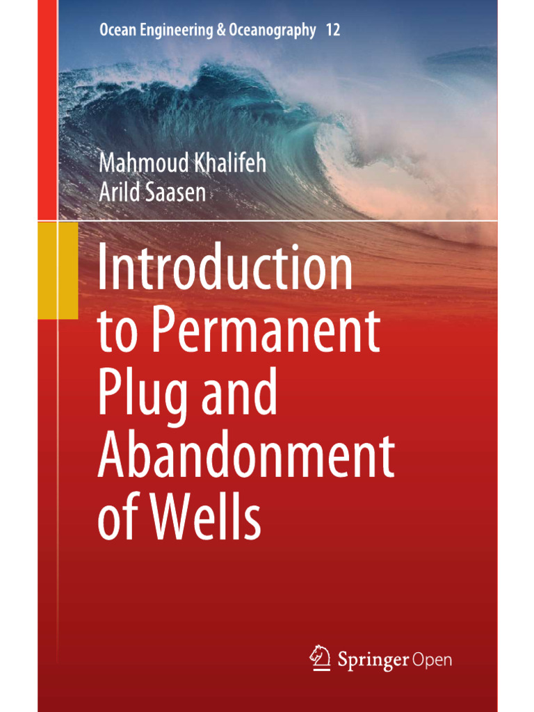 Introduction To Permanent Plug and Abandonment of Wells | PDF