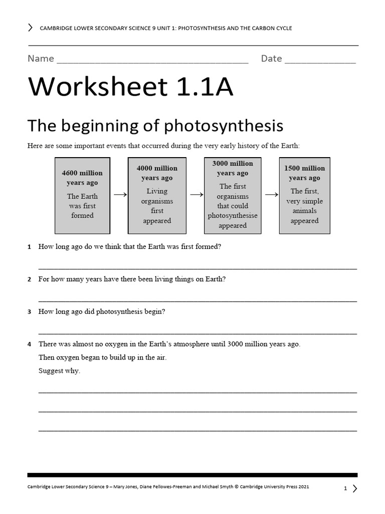 S9 Unit 1 Worksheets | PDF | Carbon Cycle | Photosynthesis