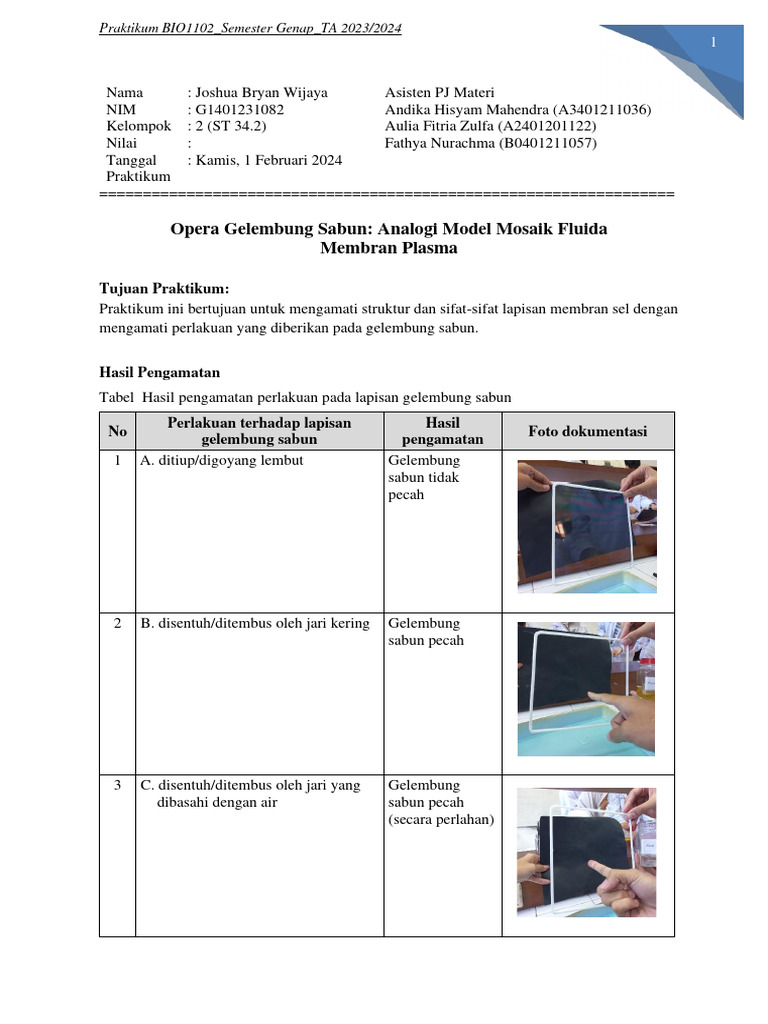 Joshua Bryan Wijaya - G1401231082 - Opera Gelembung Sabun | PDF