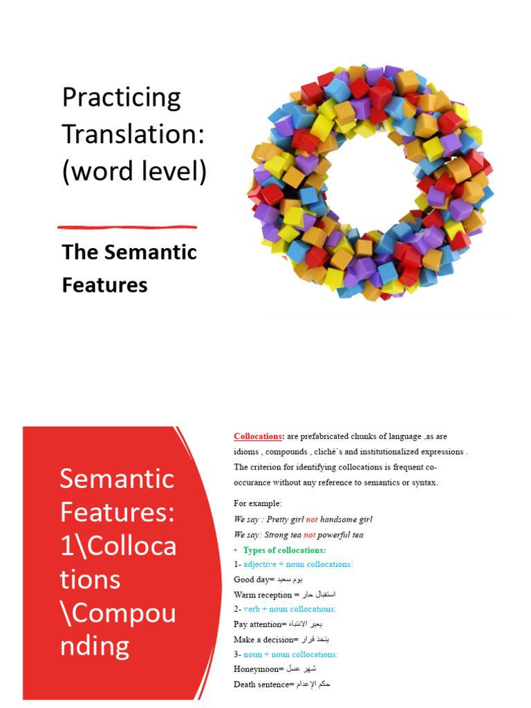 Practicing Translation (Semantic Features) | PDF