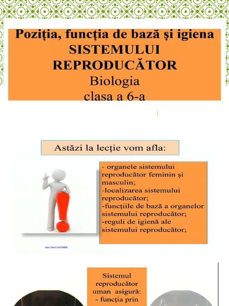 Sistemul Reproducator | PDF