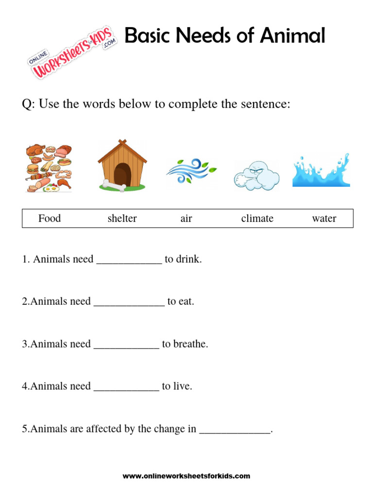 Basic Needs of Animal Worksheet For Grade 1-3 | PDF | Wellness