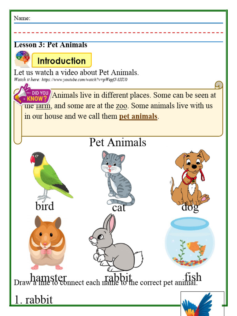 Pet Animals | PDF