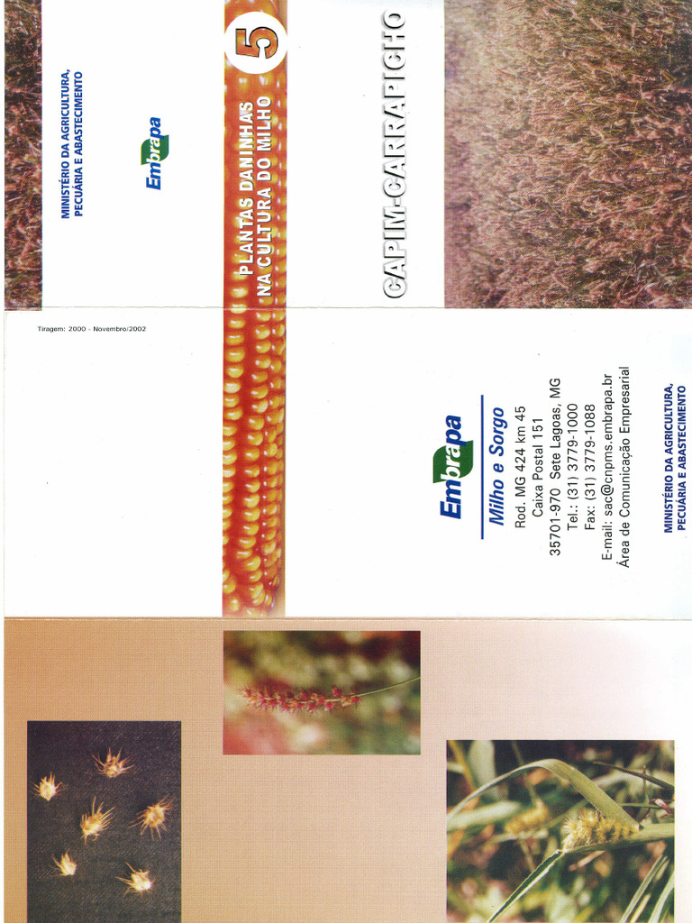 Capim Carrapicho | PDF