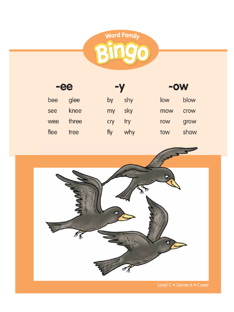 Word Family Bingo | PDF