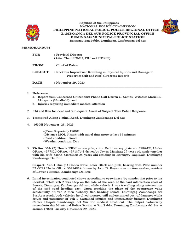 PROGRESS REPORt | PDF | Crimes | Crime & Violence