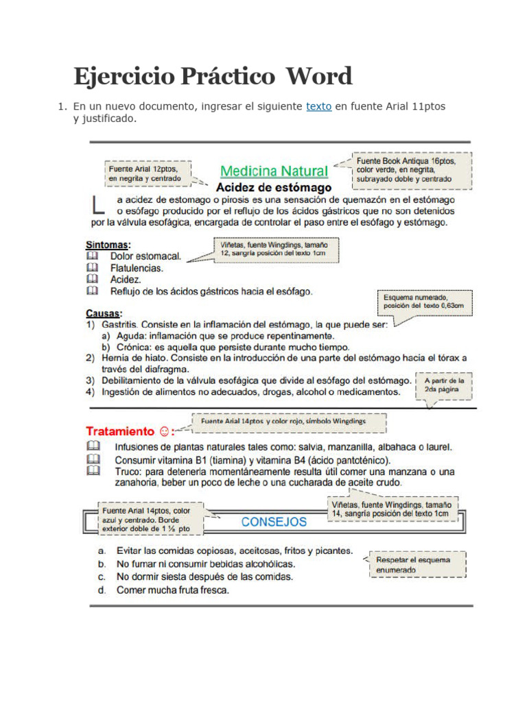 Ejercicio Práctico en Word | PDF