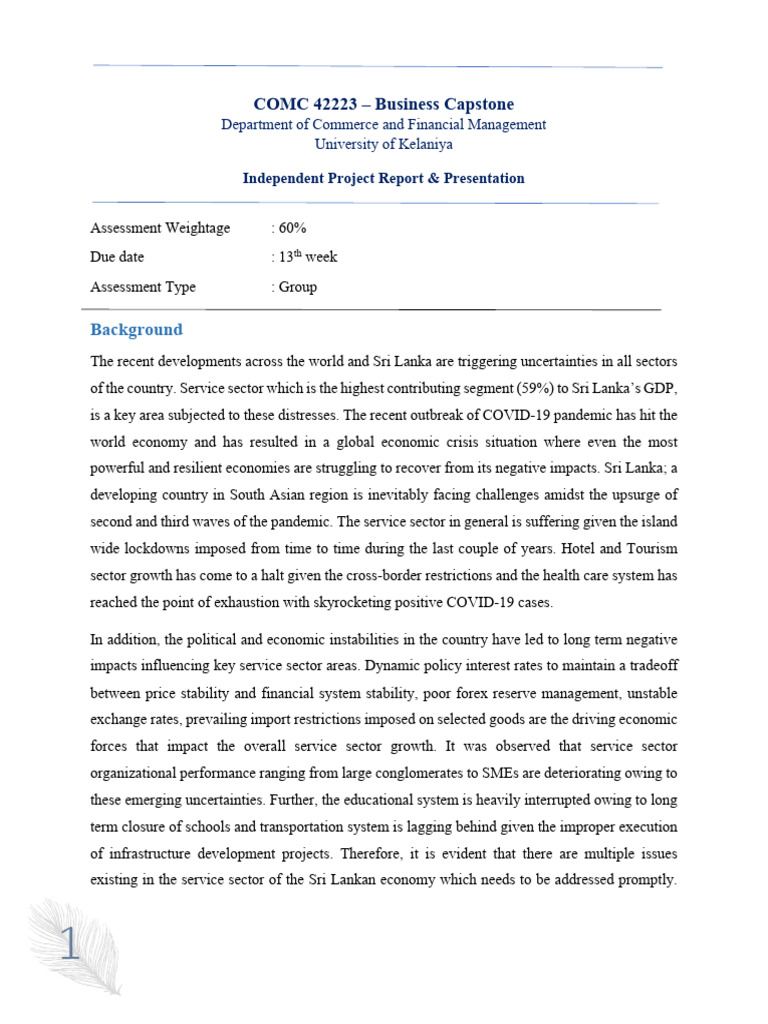 Business Capstone Project Guidelines | PDF | Economies