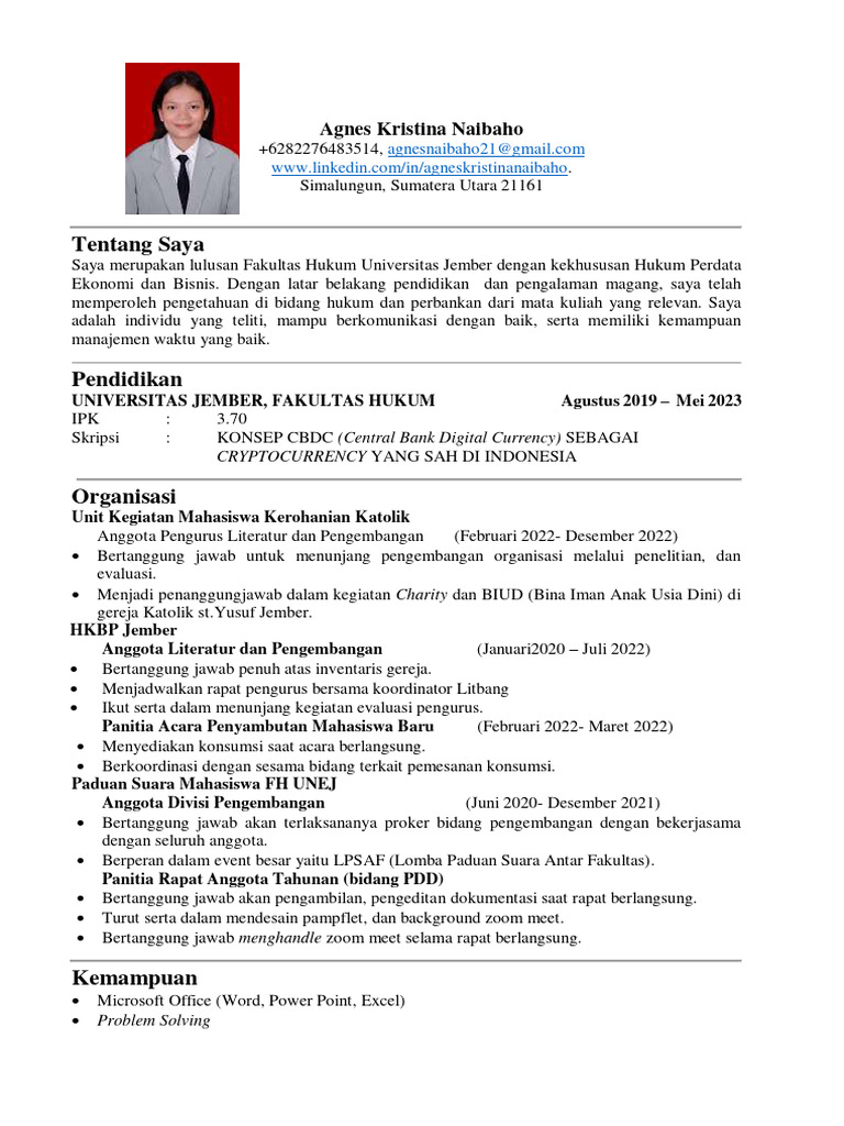 CV Agnes Kristina Naibaho | PDF