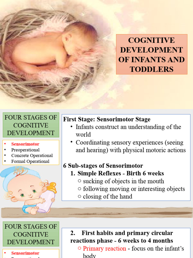 Cognitive Development | PDF | Language Acquisition | Cognitive Science