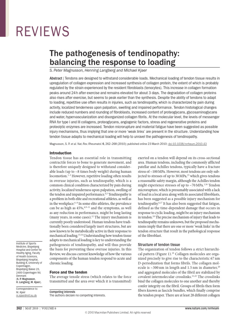 The Pathogenesis of Tendinopathy Balancing The Response To Loading ...