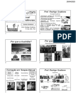 Software SAPO para Avaliação Postural | PDF | Medição | Internet