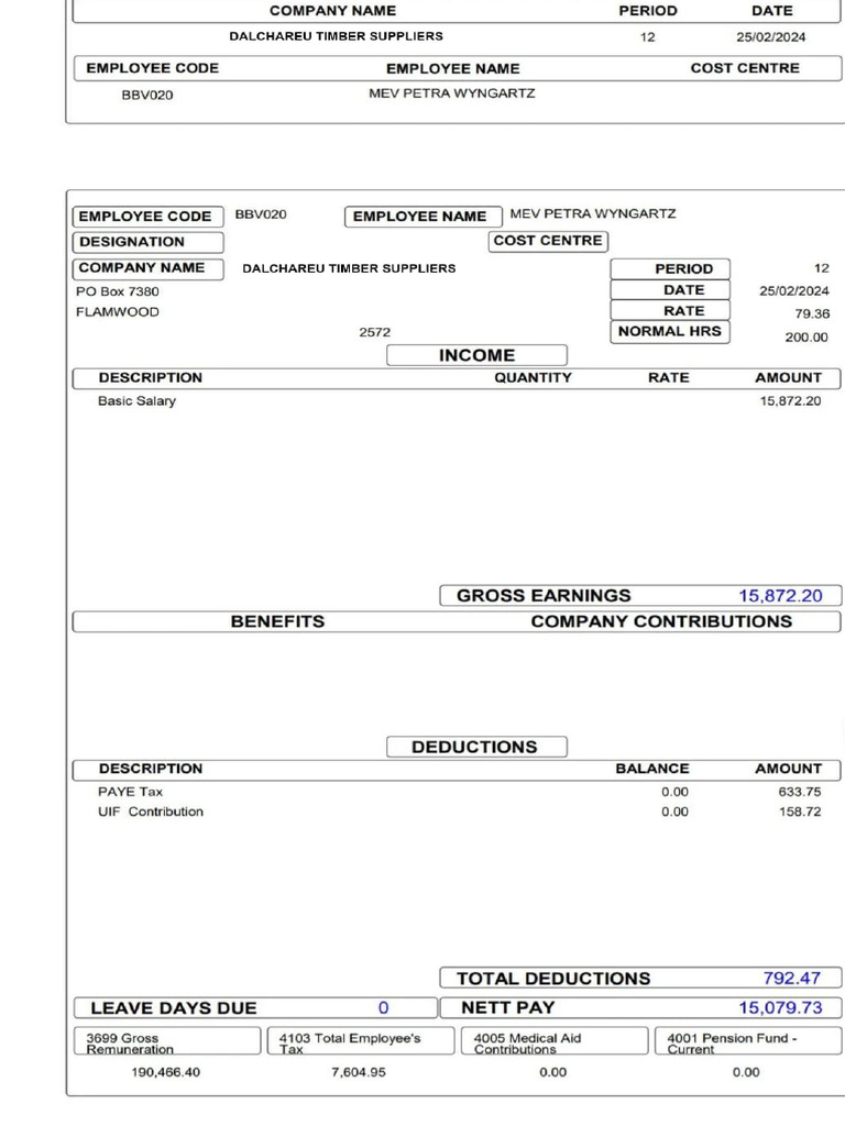 Petra Weingartz Payslip | PDF
